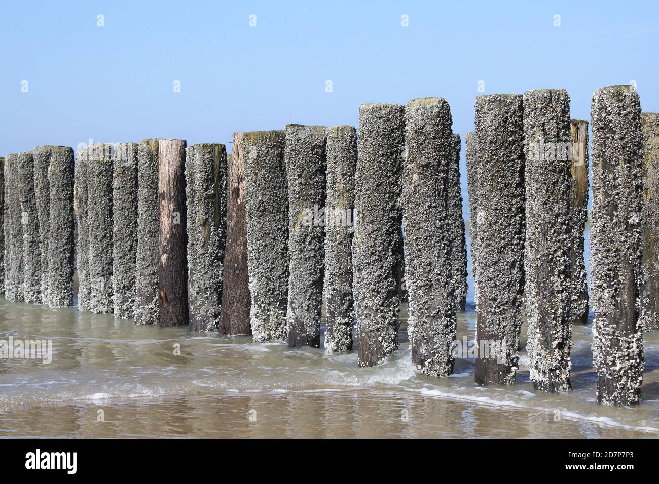 Reinforcement poles hi-res stock photography and images - Alamy