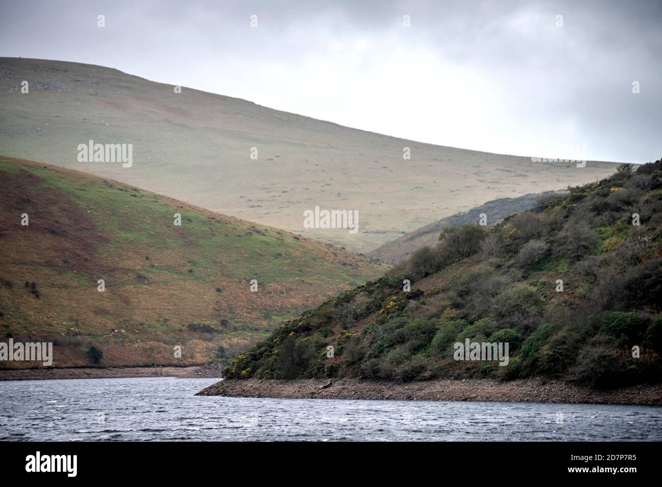 Meldon Reservoir in Devon Stock Photo - Alamy