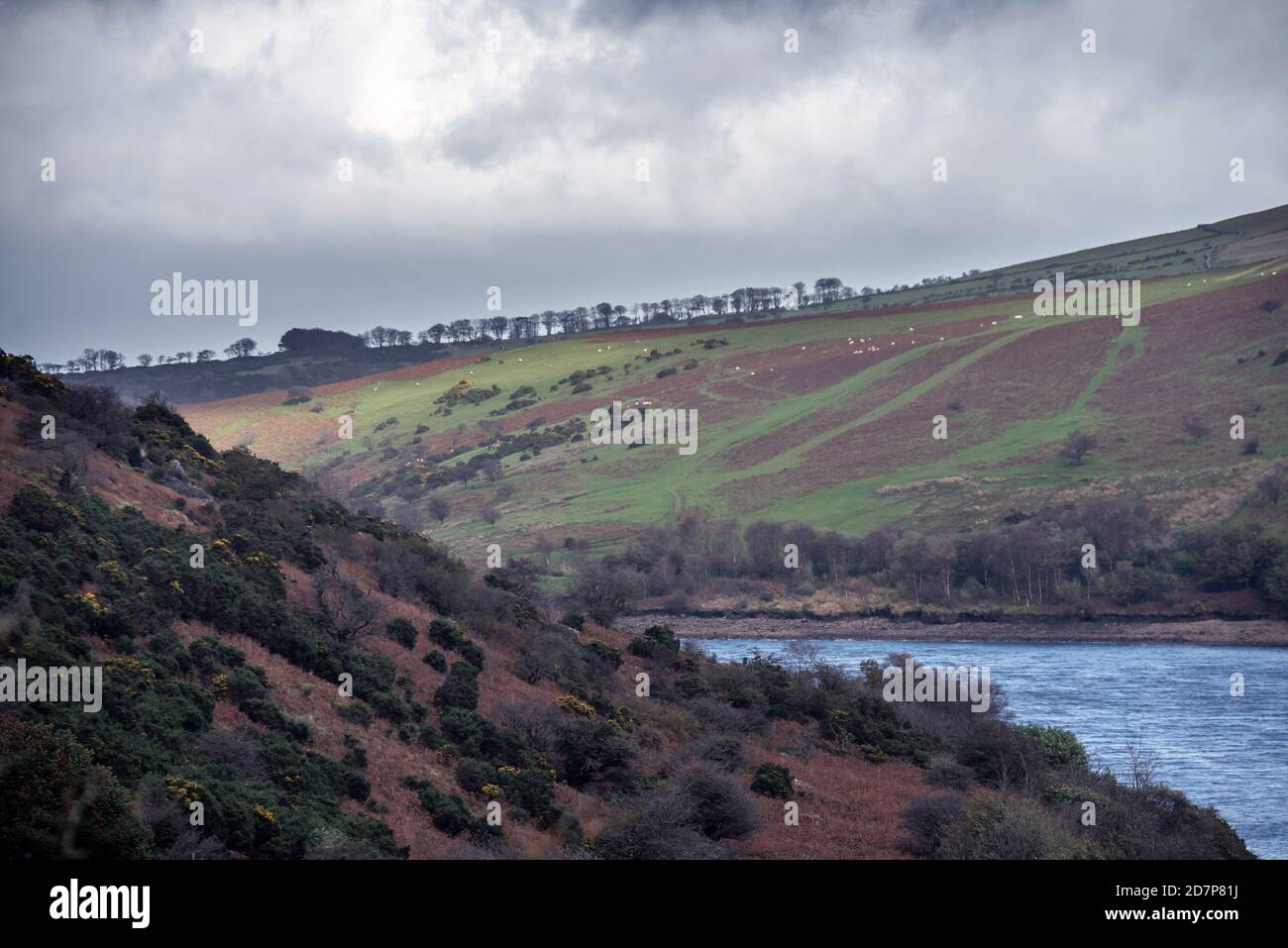 Meldon Reservoir in Devon Stock Photo - Alamy