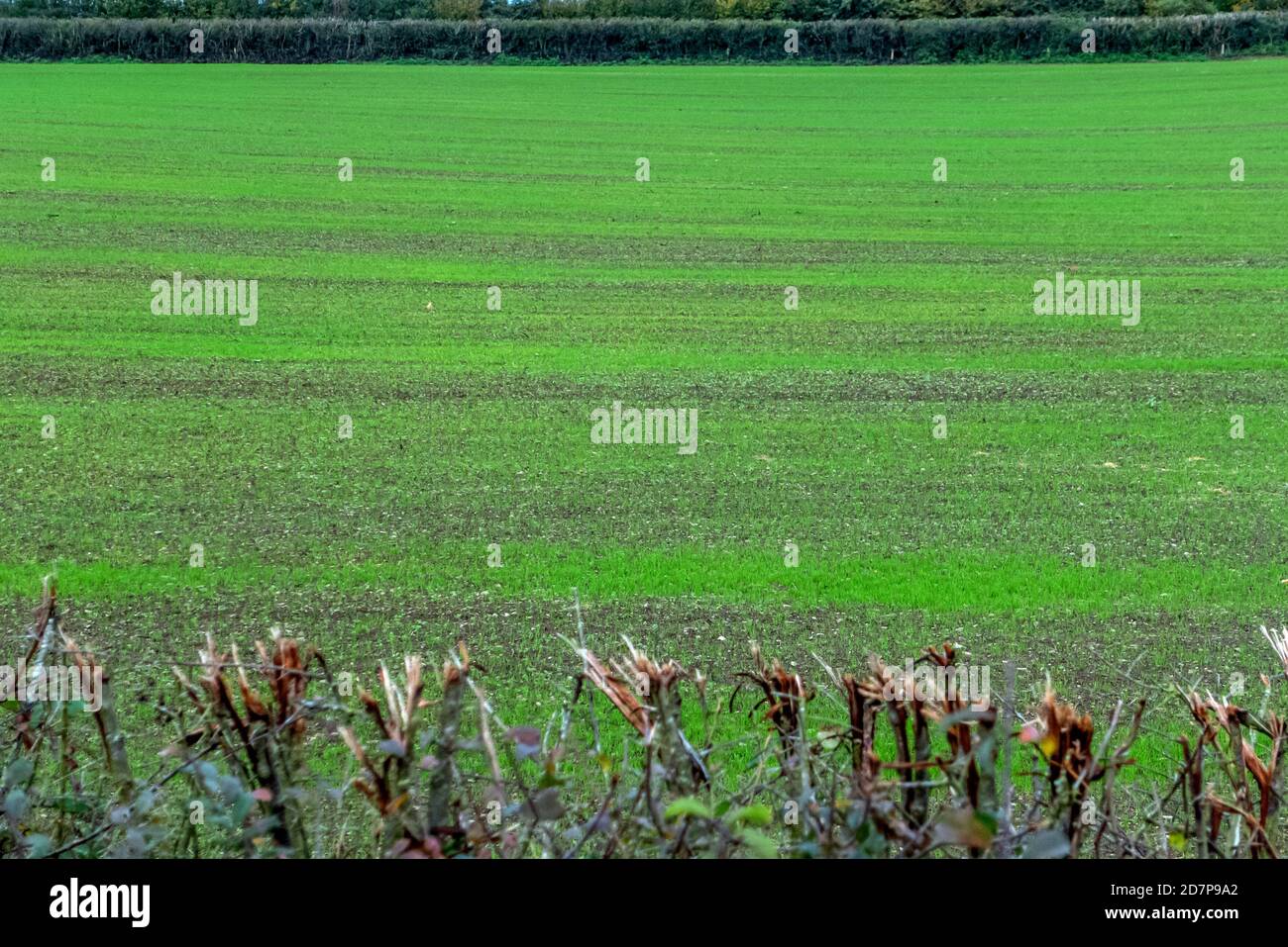 Meeth devon hi-res stock photography and images - Alamy