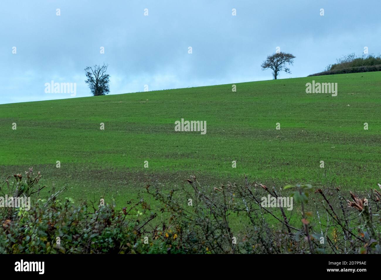 Meeth hi-res stock photography and images - Alamy
