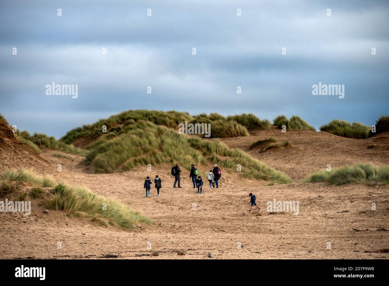 Devon sand dunes hi-res stock photography and images - Alamy