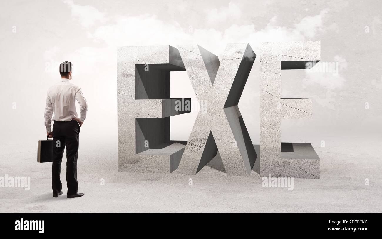 Rear view of a businessman standing in front of EXE abbreviation ...