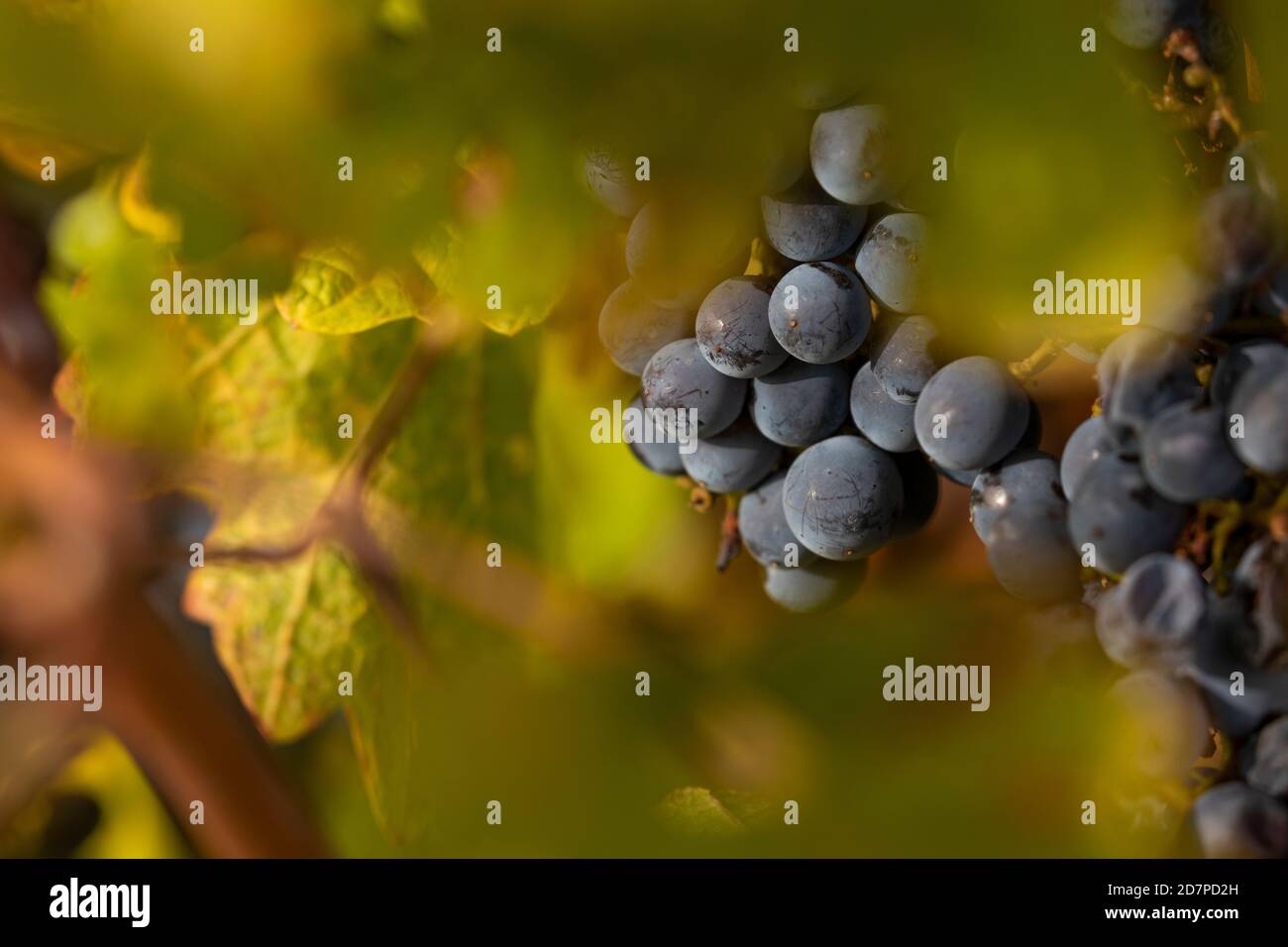 Magallon town hi-res stock photography and images - Alamy