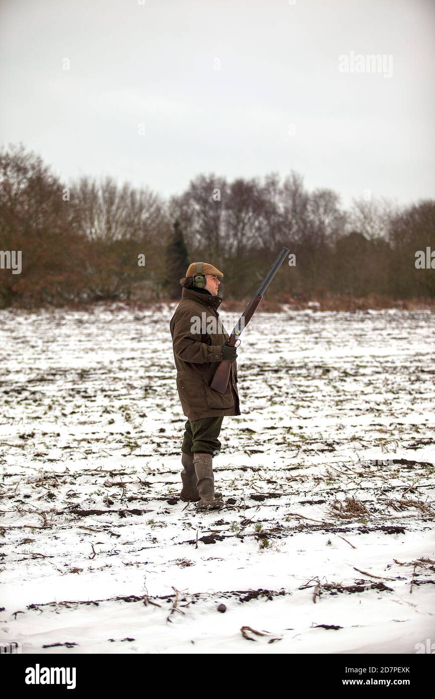 Shooting in the show on a driven game shoot in Lancashire, England ...