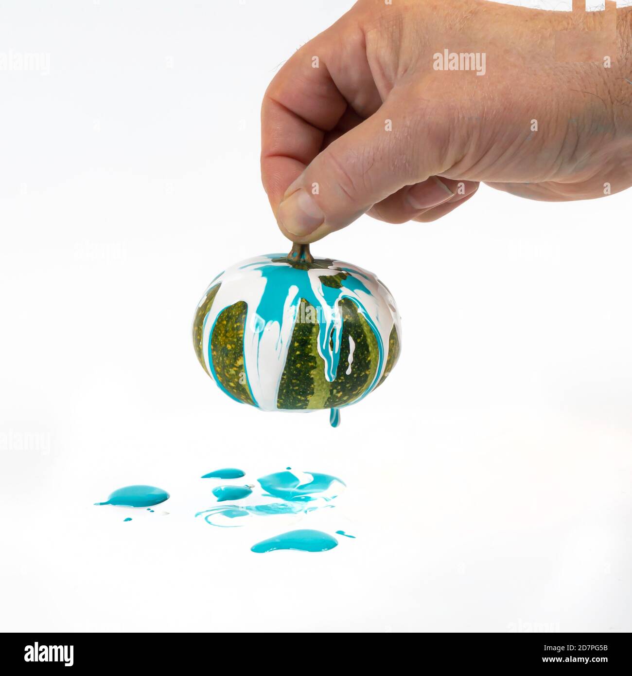 Some pumpkins with the blue color running down Stock Photo - Alamy