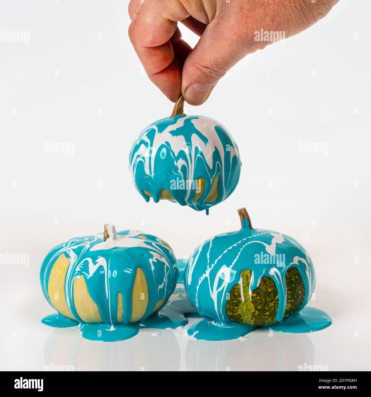 Some pumpkins with the blue color running down Stock Photo - Alamy