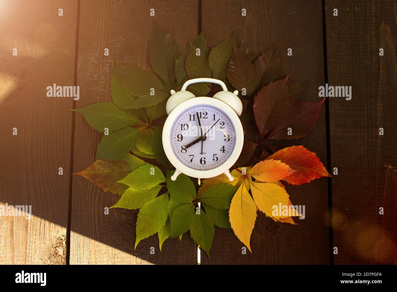 Autumn leaves and white clock with sunshine, Autumn background, fall ...