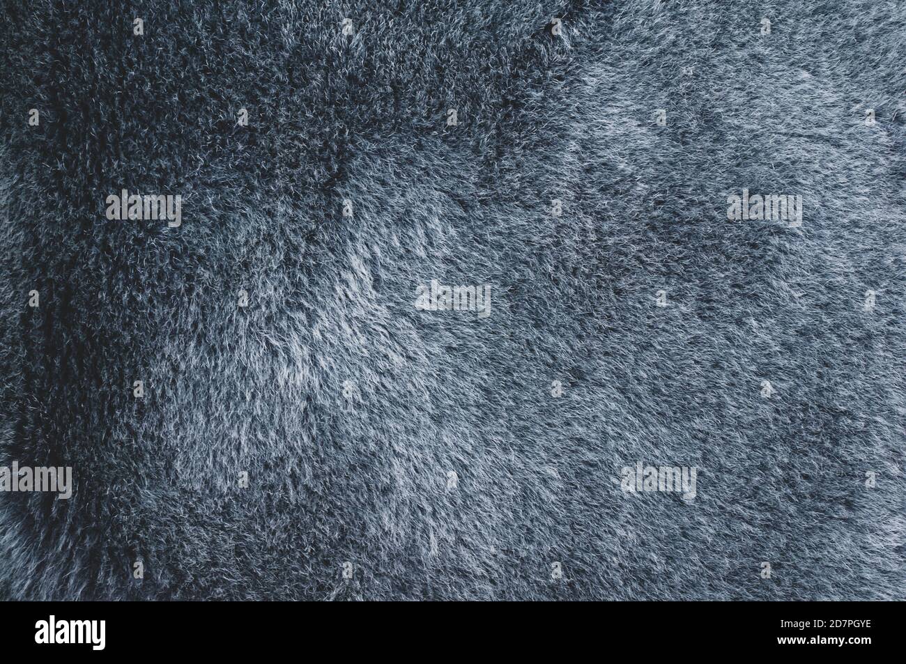 Closeup of the inside fur of a navy blue leather jacket Stock Photo - Alamy