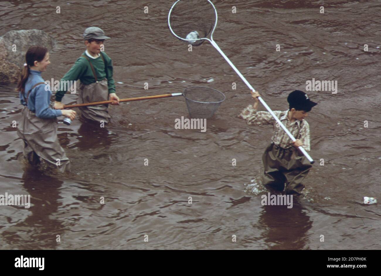 Archival smelt run hi-res stock photography and images - Alamy
