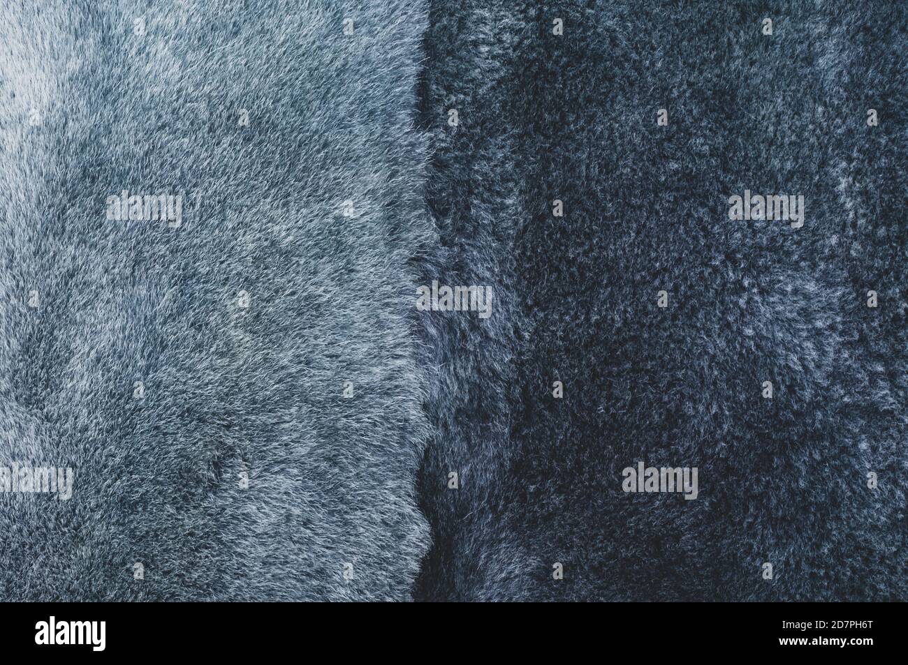 Closeup of the inside fur of a navy blue leather jacket Stock Photo - Alamy