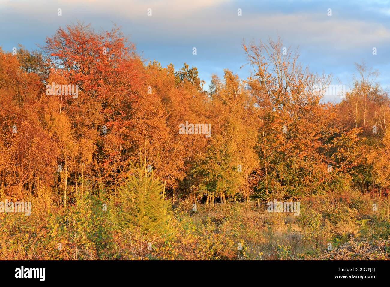 Dean hill hi-res stock photography and images - Alamy