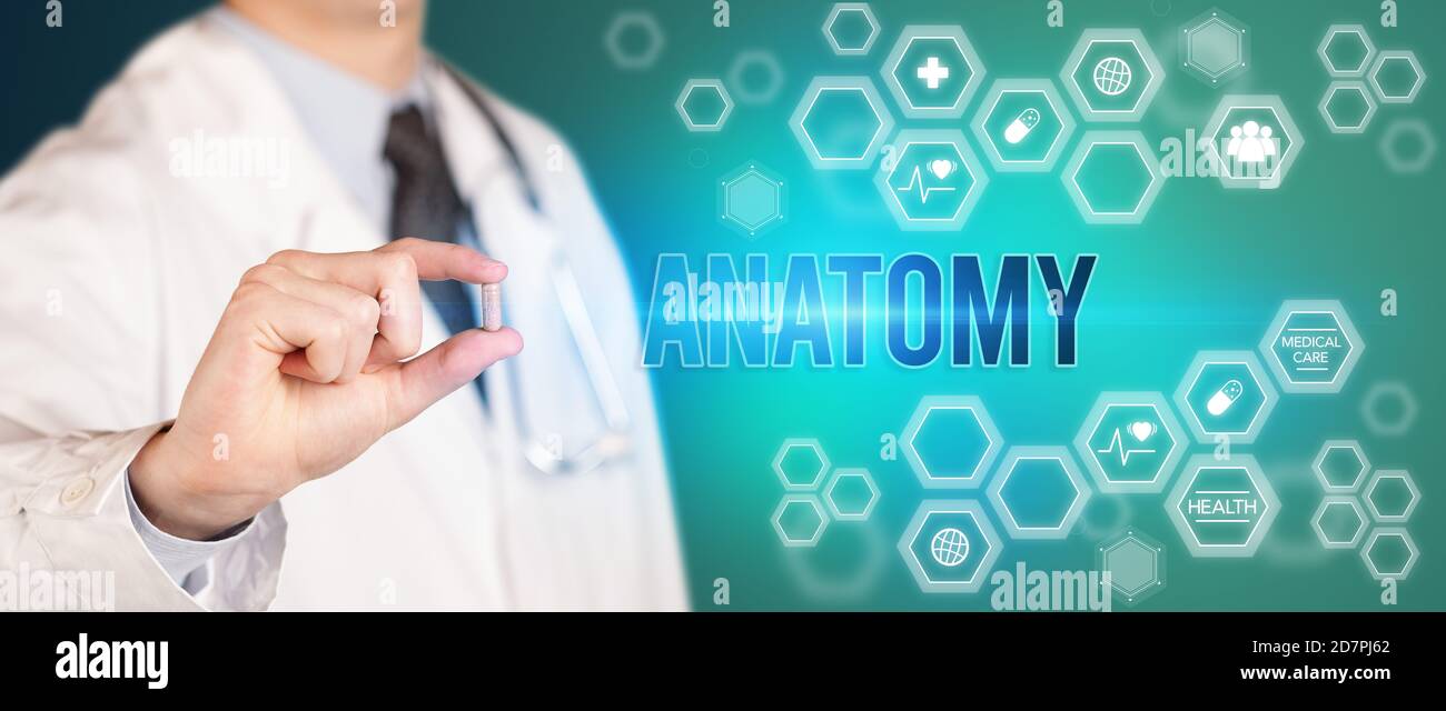 Close-up of a doctor giving you a pill with ANATOMY inscription ...