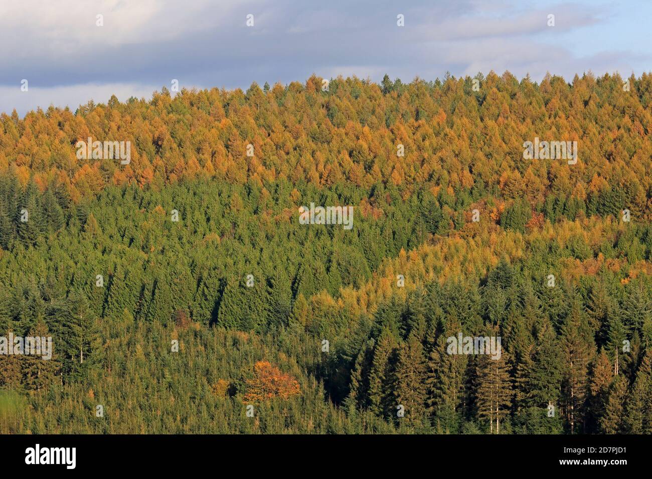 The new colours hi-res stock photography and images - Alamy