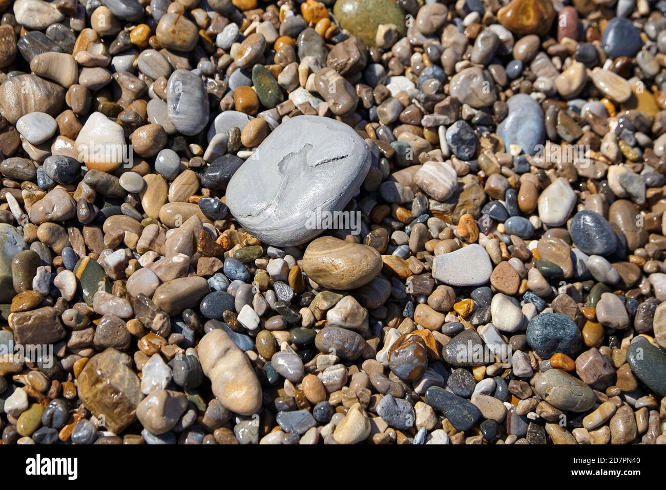 Wet pebbles on the beach. Smooth stones of various sizes and colors ...