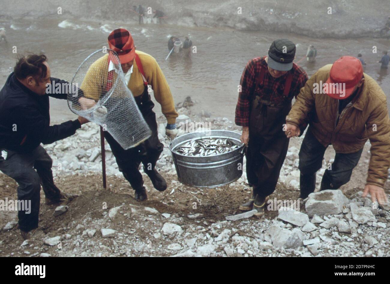 Annual smelt run at Singing Bridge; Tawas City. In mid-april thousands ...