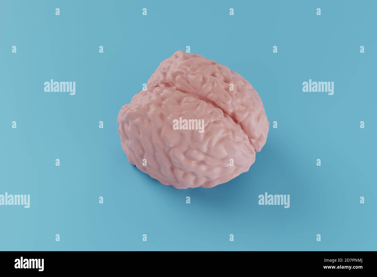 human pink brain model on blue background, minimal concept, 3d ...