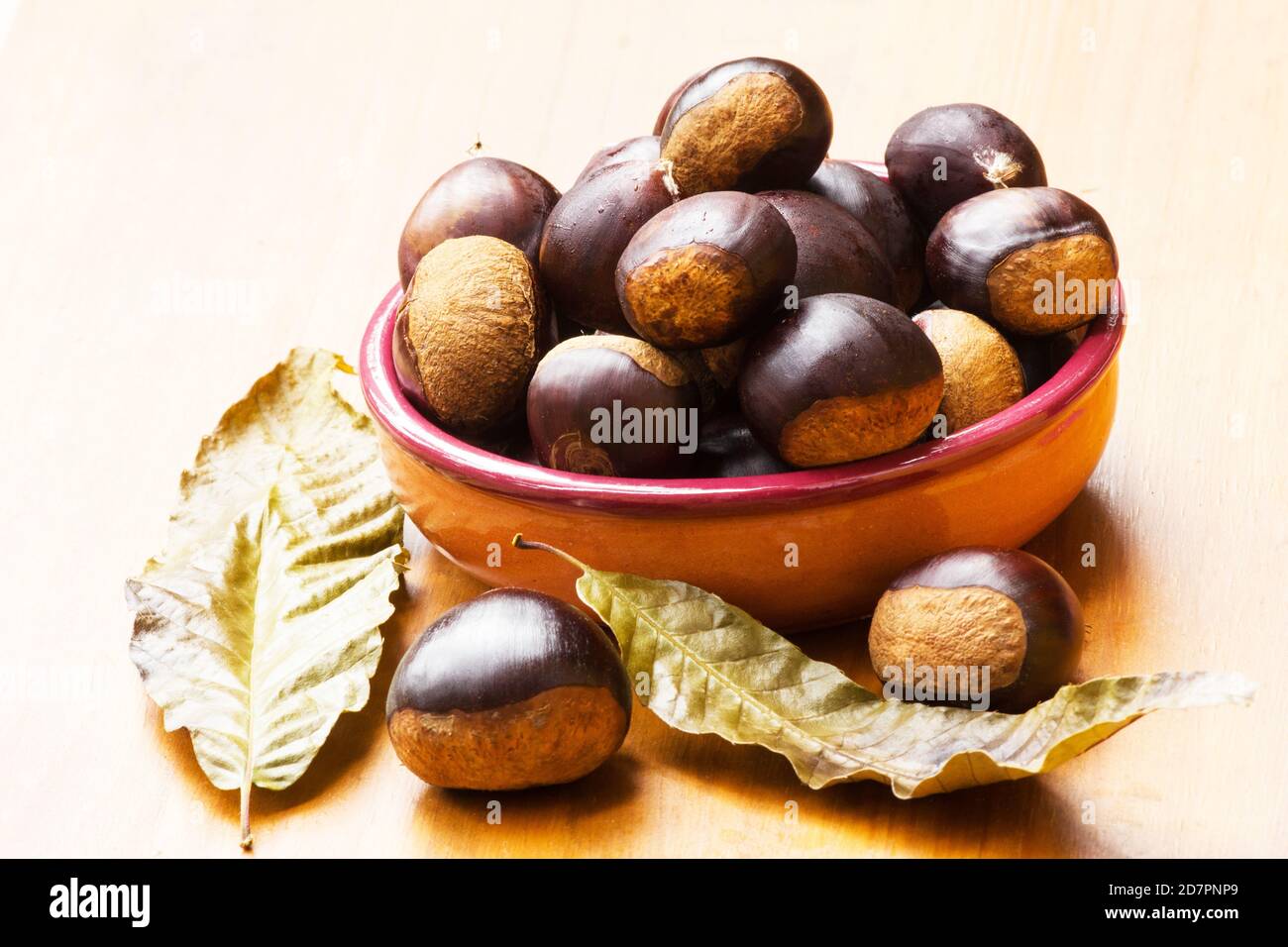 Chestnuts and chestnut dried leaves Stock Photo - Alamy