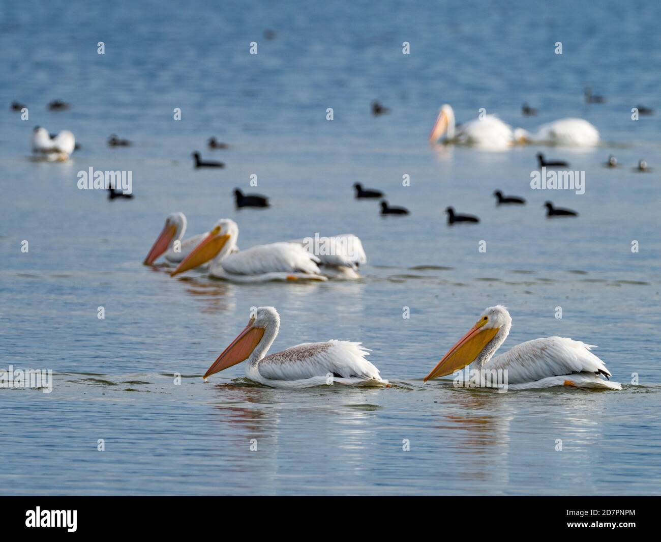 American lake activities hi-res stock photography and images - Alamy