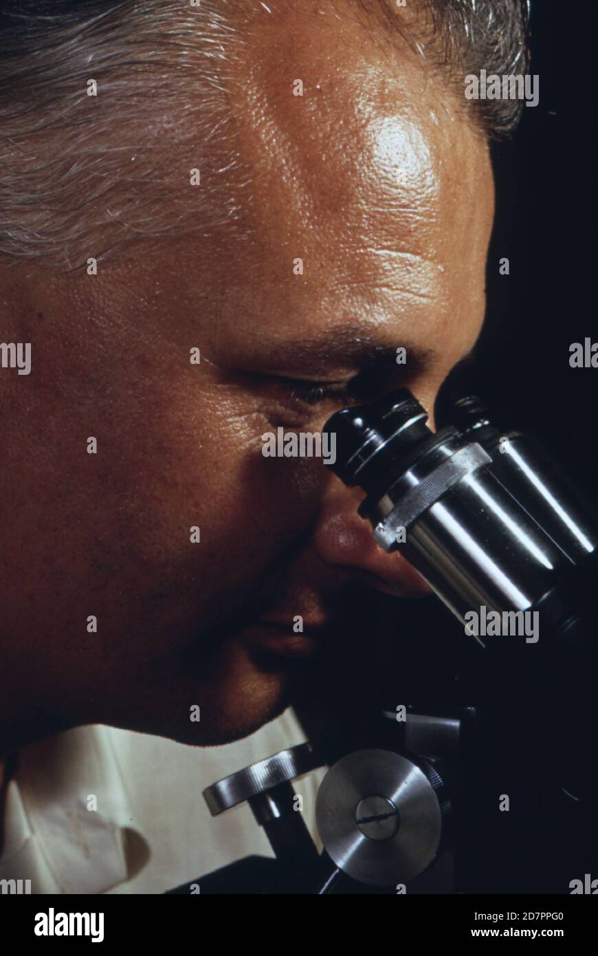 Dr. Dusan Zarodnik; chief of the laboratory for ecology and systematics ...