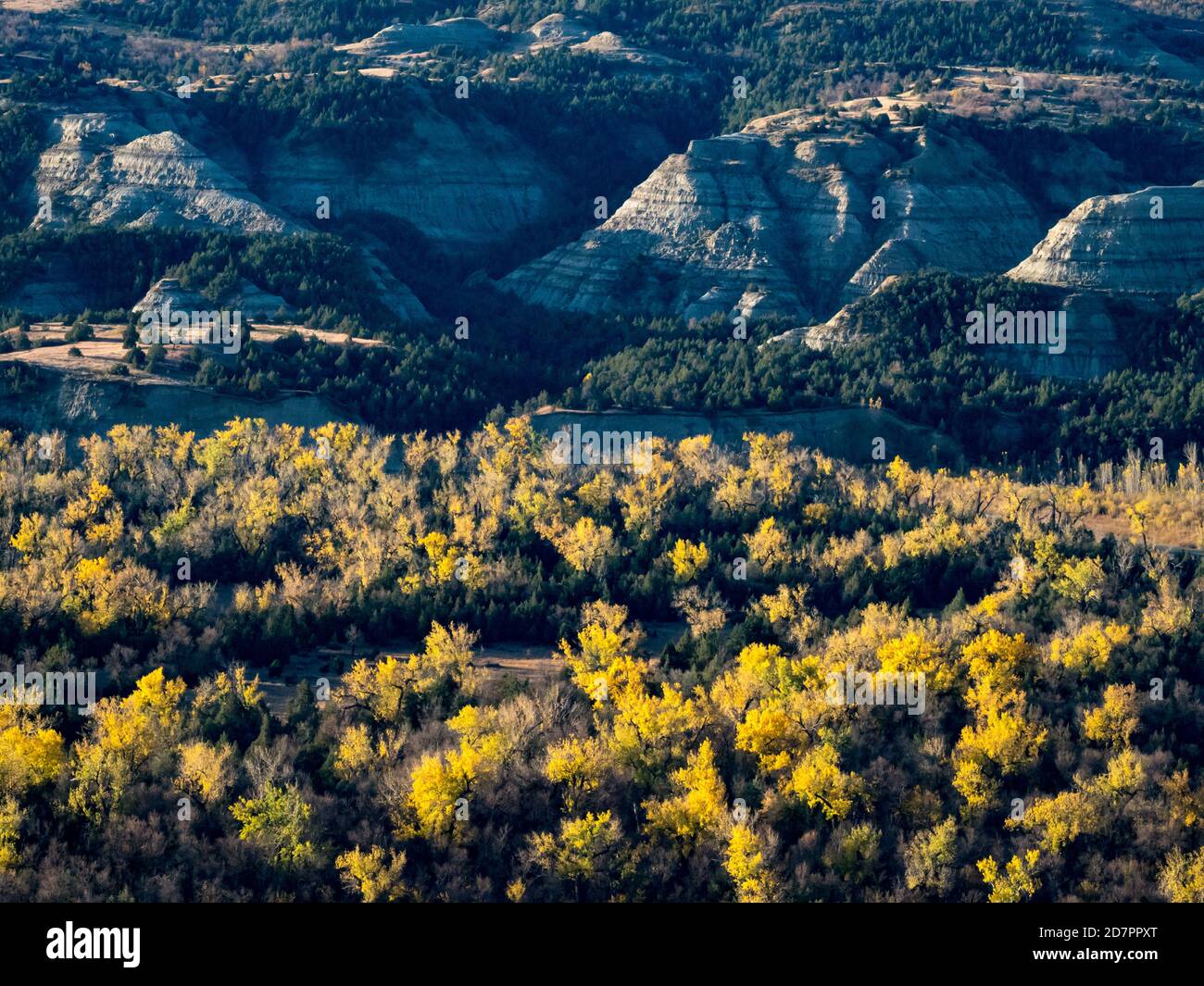 Fall colors along the little missouri river in the Badlands of Theodore ...