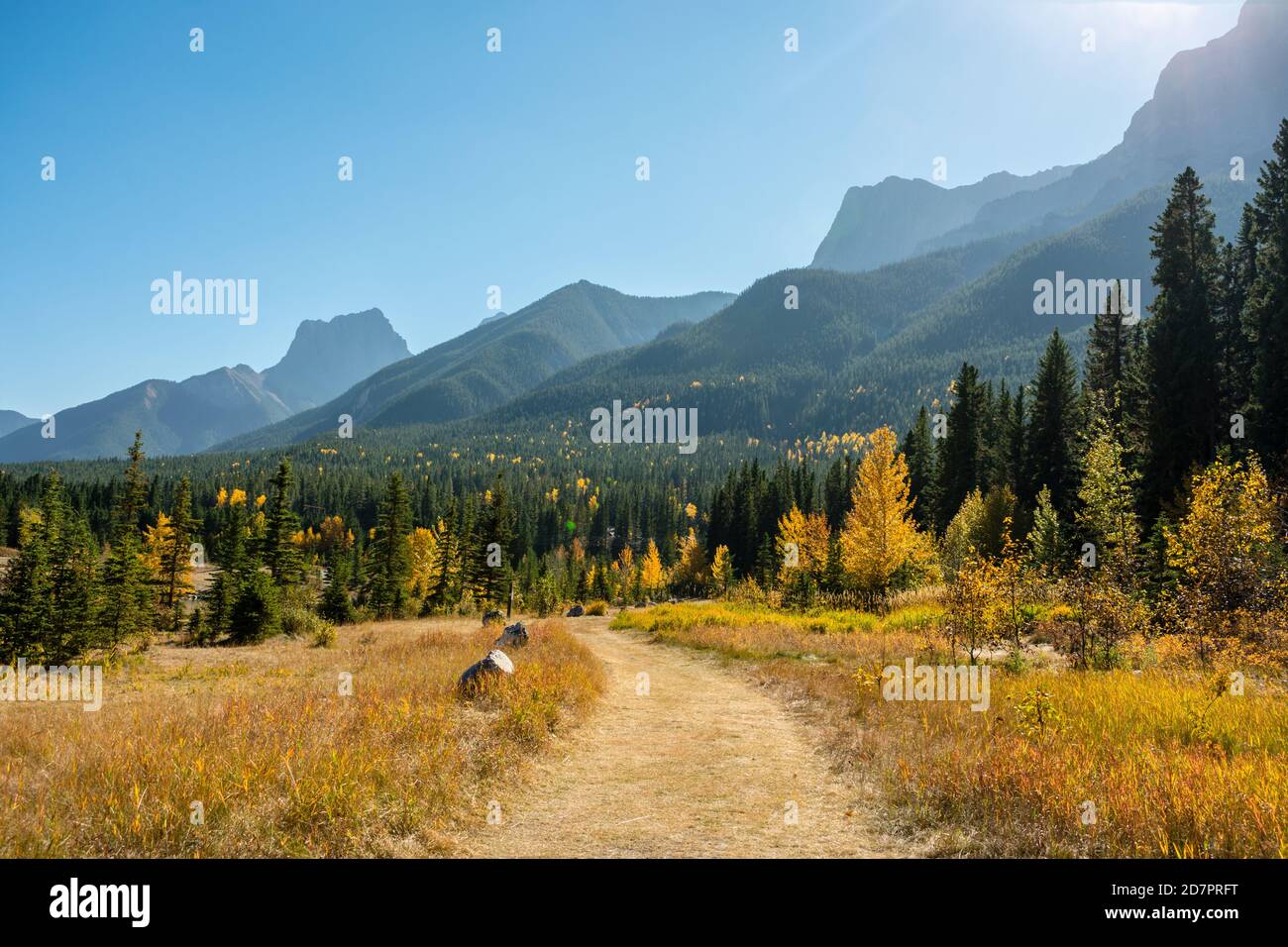 Trail into the mountains hi-res stock photography and images - Alamy