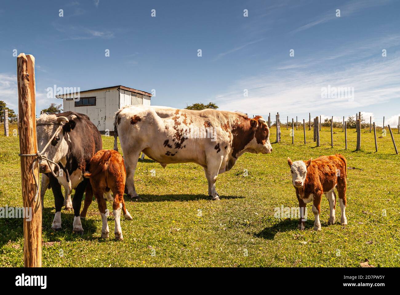 Riesco Island, Chile - December 12, 2008: Posada Estancia Rio Verde ...