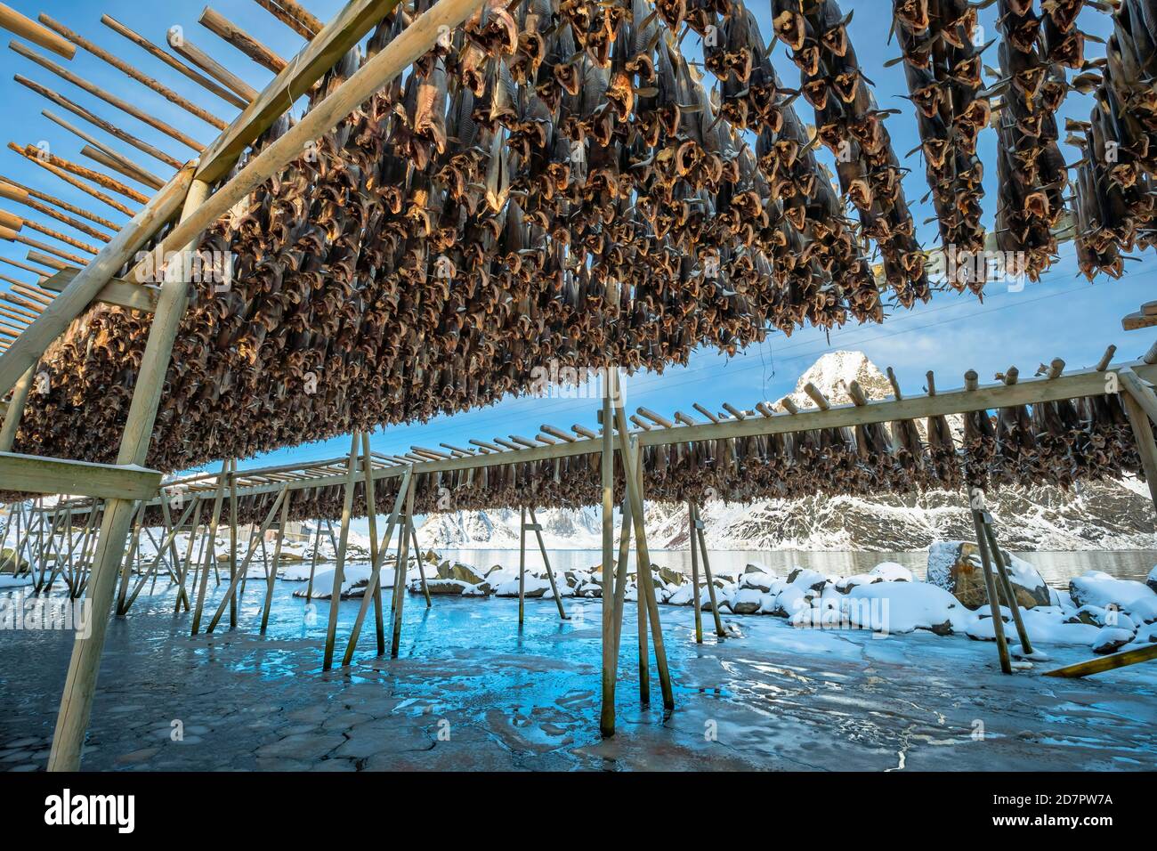 Fish drying on frame hi-res stock photography and images - Alamy