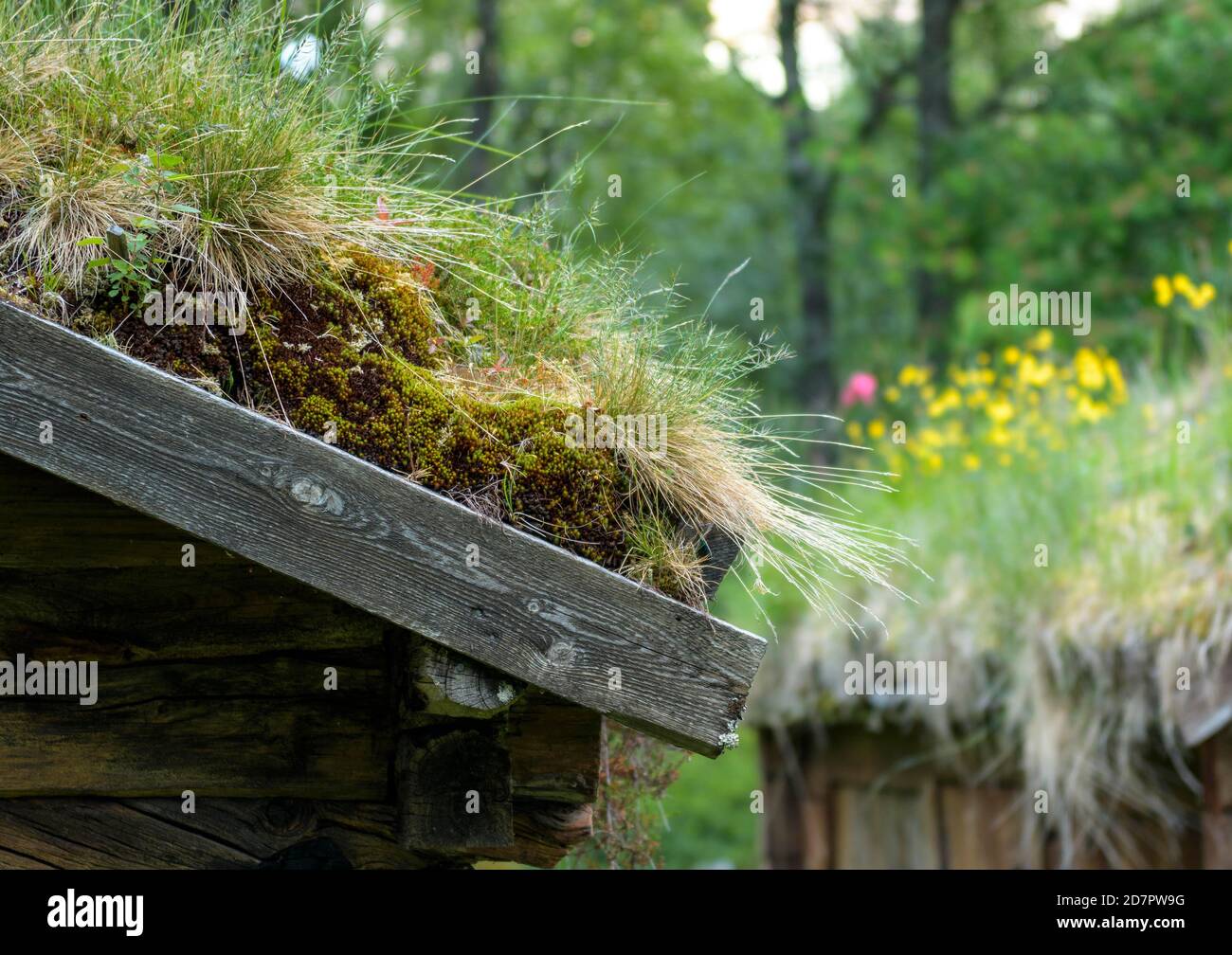 House norway grass roof hi-res stock photography and images - Alamy