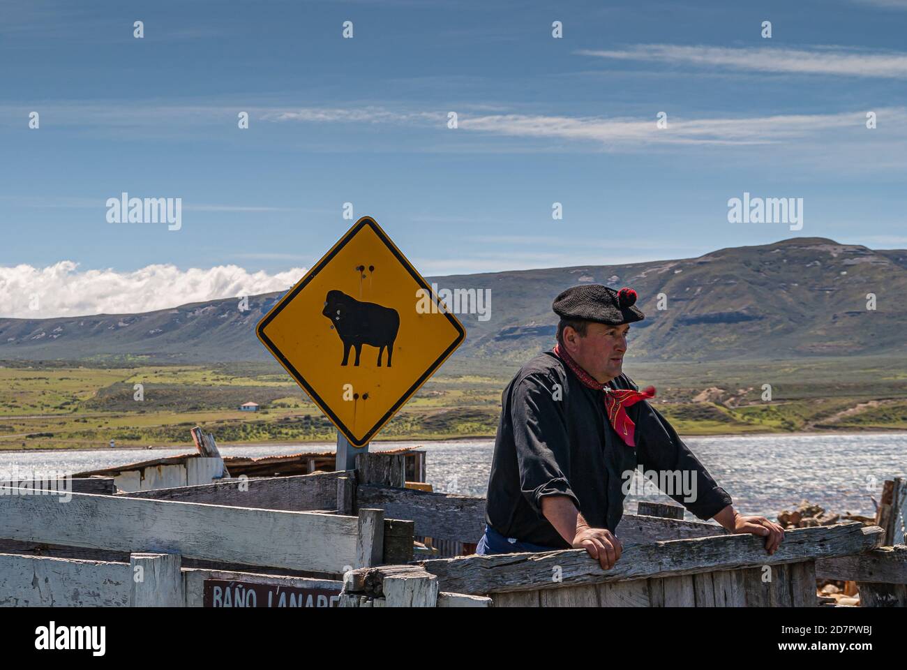 Sheep ranch patagonia hi-res stock photography and images - Alamy