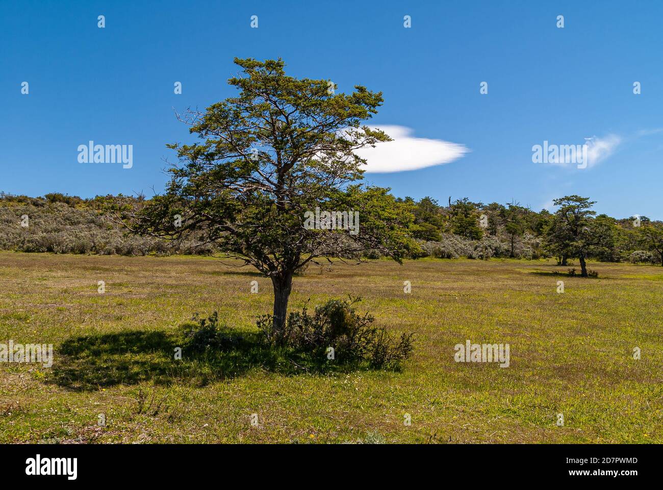 Short belt hi-res stock photography and images - Alamy
