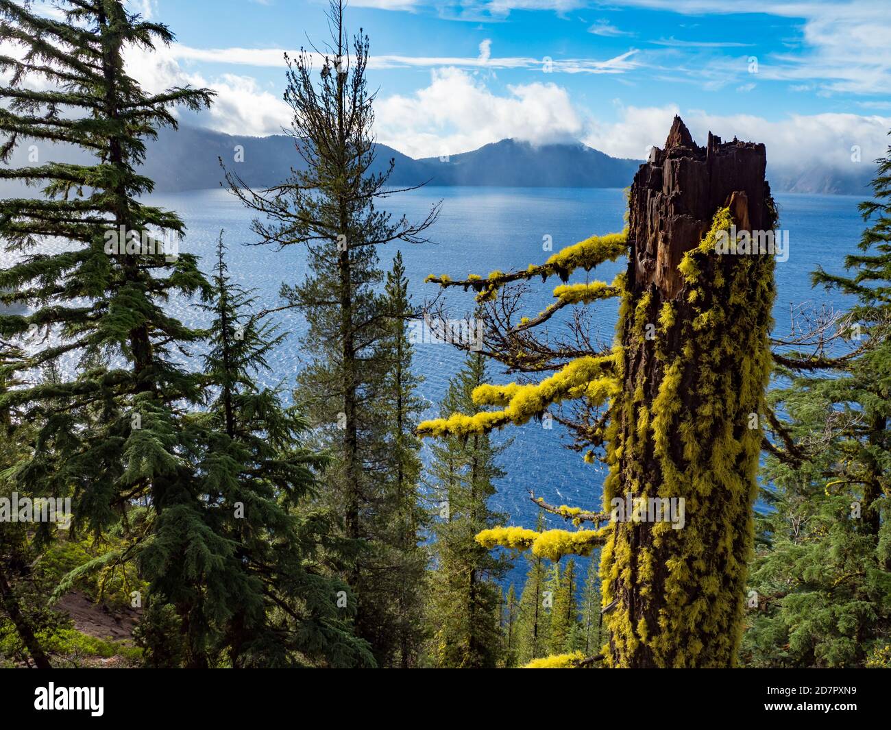 The stunning scenery at Crater Lake National Park, Oregon, USA Stock ...