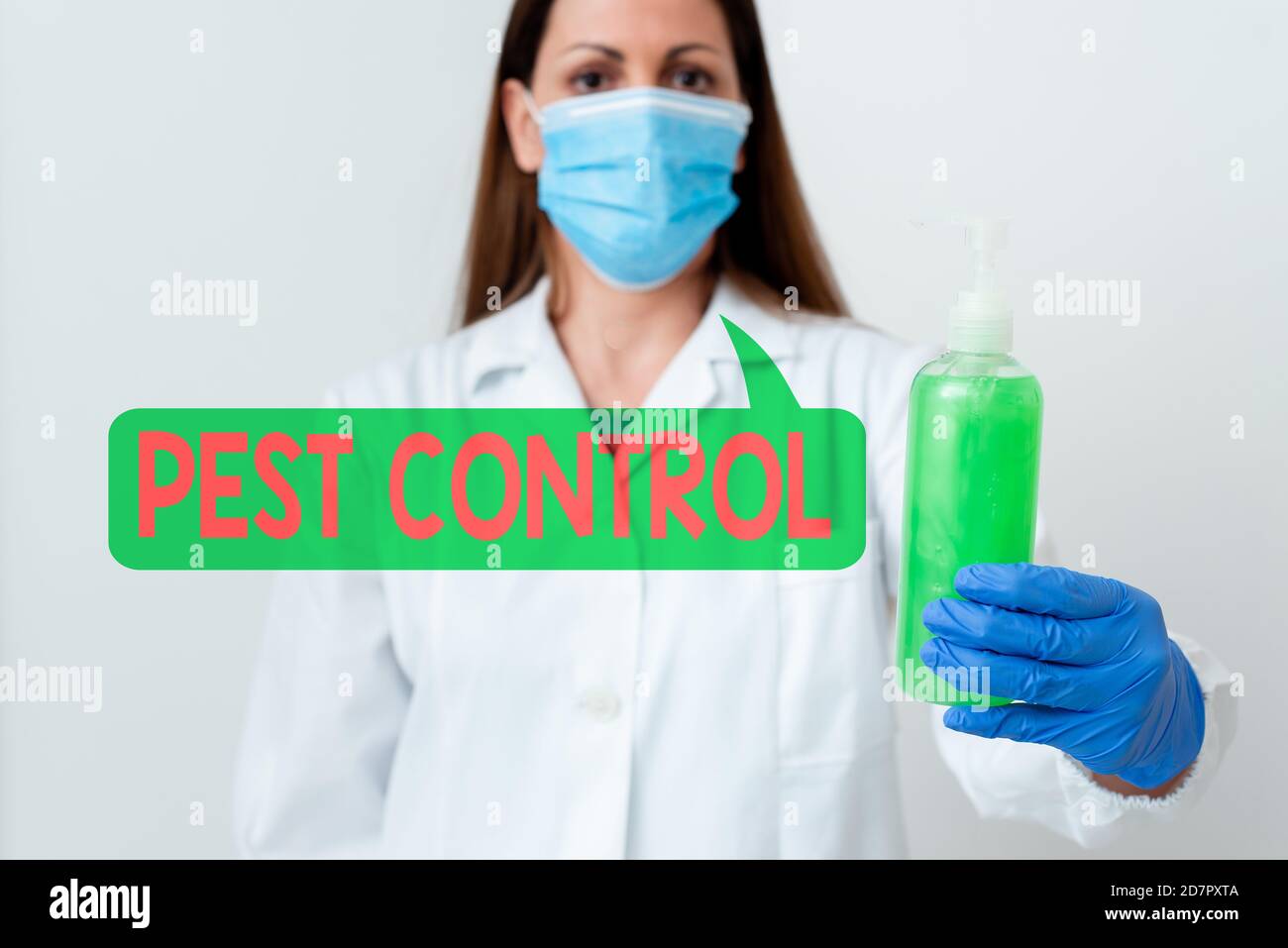 Word writing text Pest Control. Business photo showcasing Killing ...