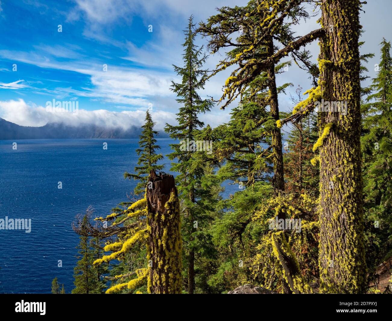 The stunning scenery at Crater Lake National Park, Oregon, USA Stock ...