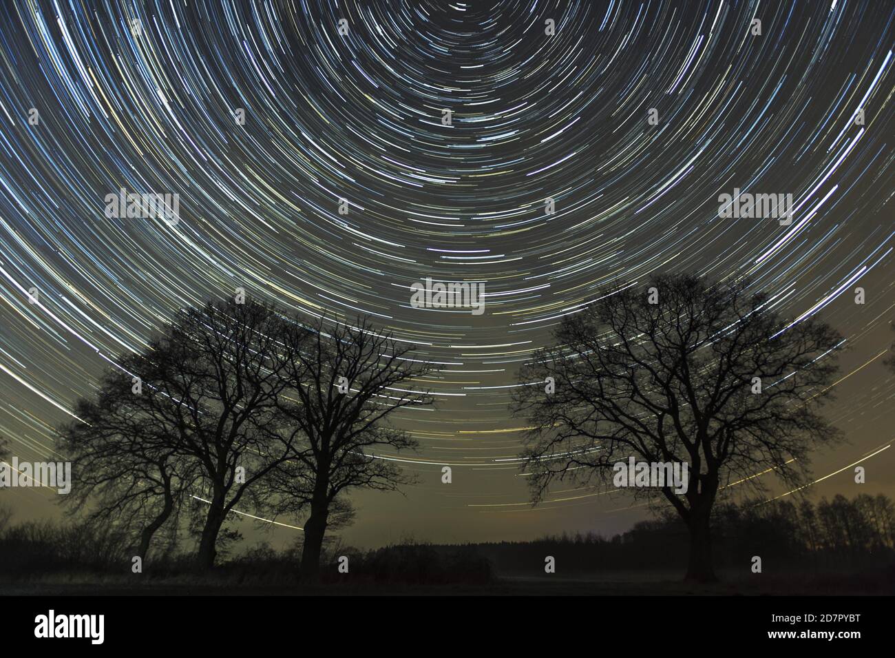 Star trails over trees in the night sky, starry sky, star wheel, night ...