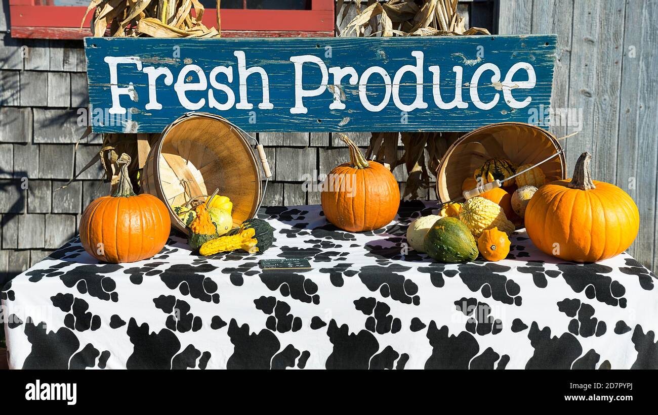 Farm shop sign hi-res stock photography and images - Alamy