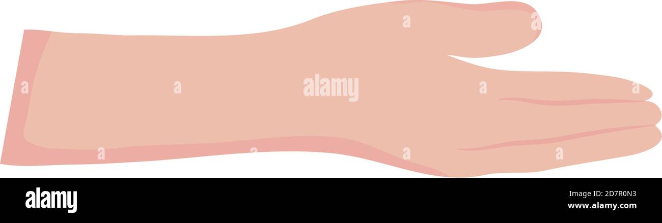 icon of hand over white background, flat style, vector illustration ...