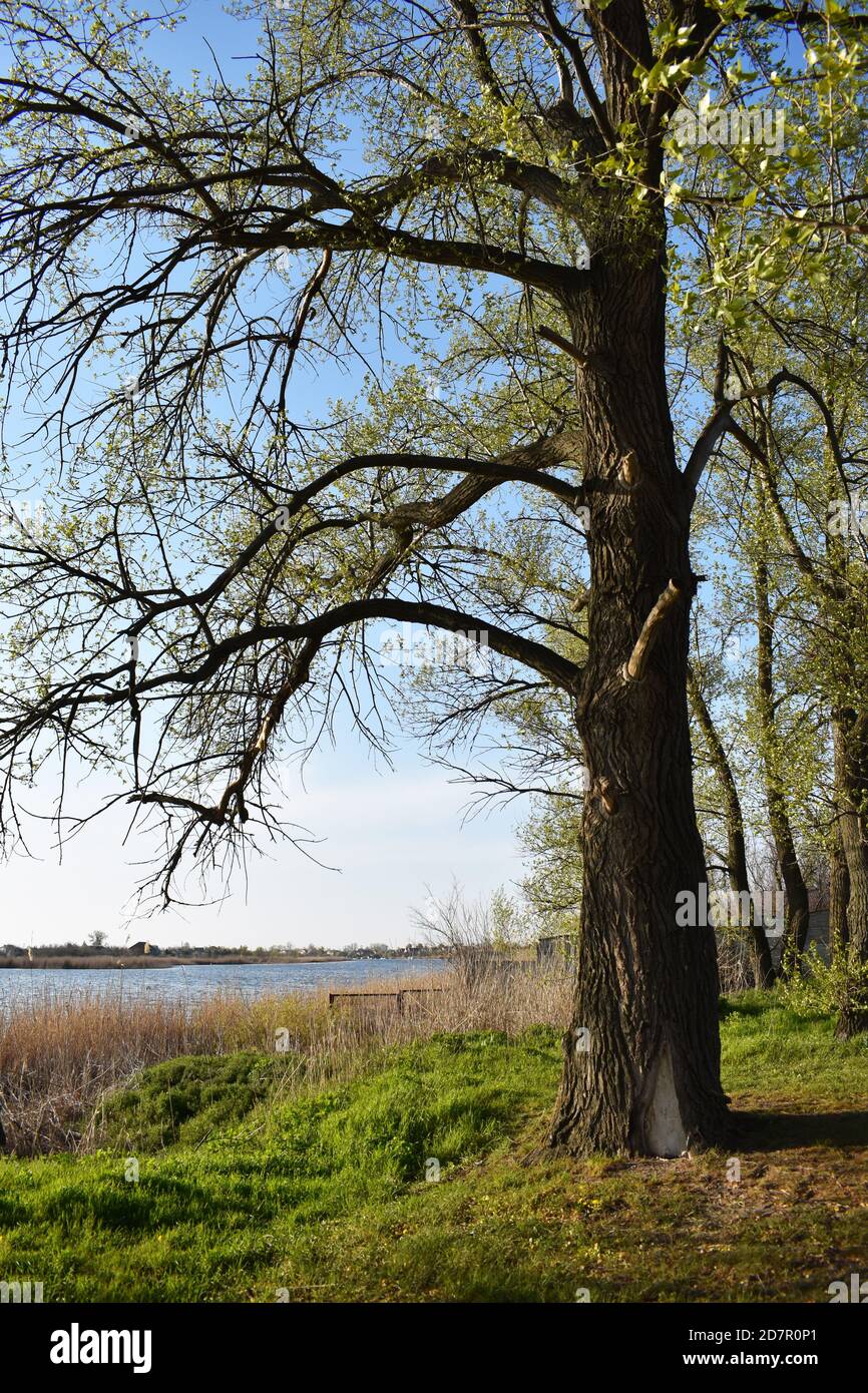 Amazing riverscape hi-res stock photography and images - Alamy