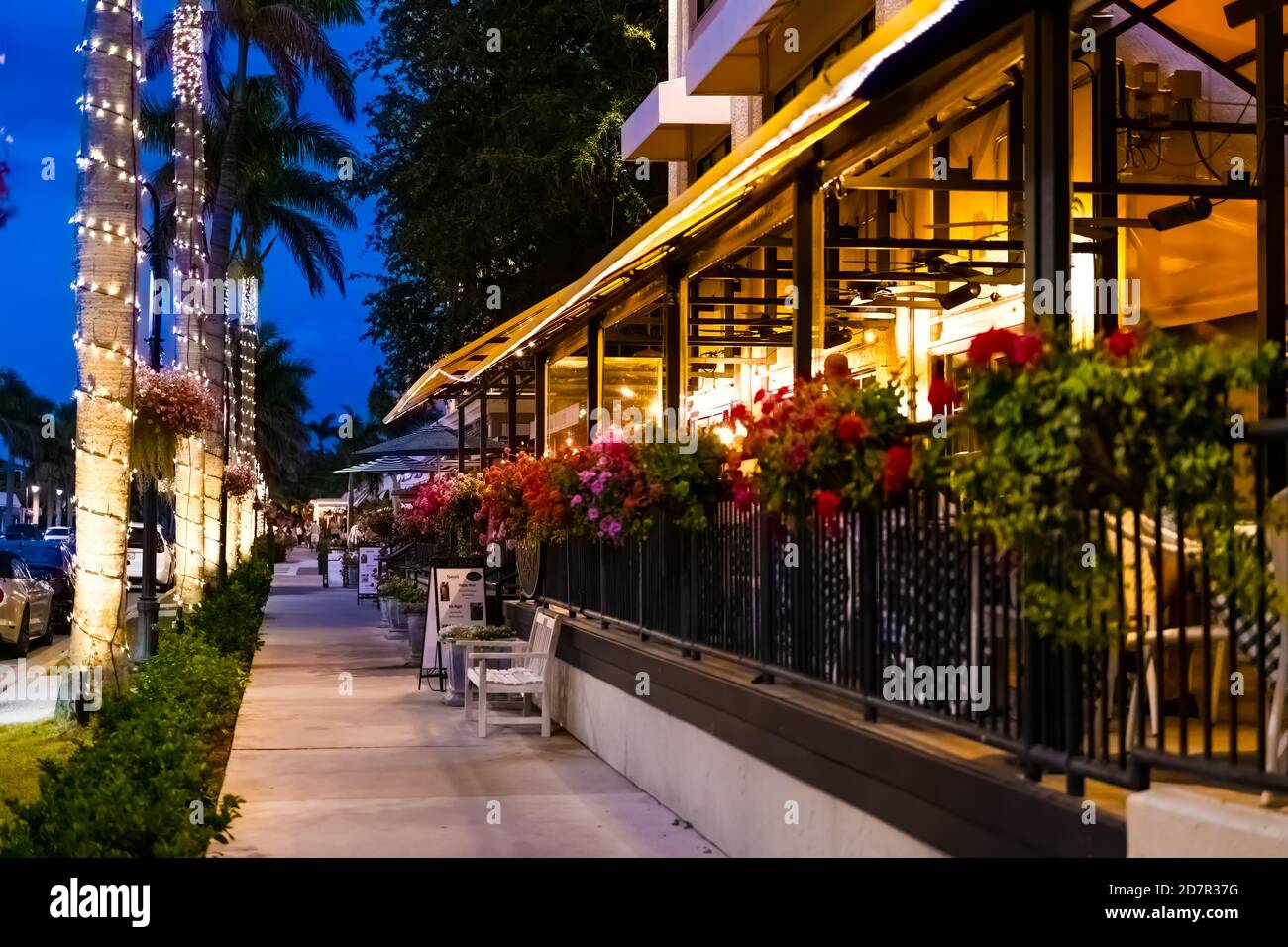 Naples, USA - April 29, 2018: Illuminated holiday lights on palm trees ...