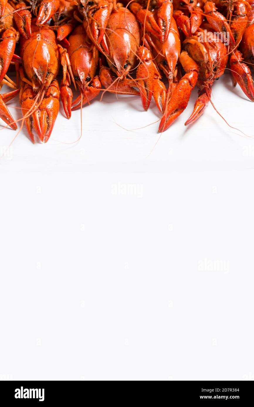 Boiled Crawfish on a White Background Stock Photo - Alamy