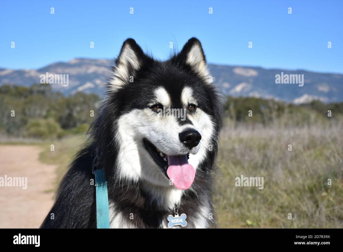 Alusky hi-res stock photography and images - Alamy