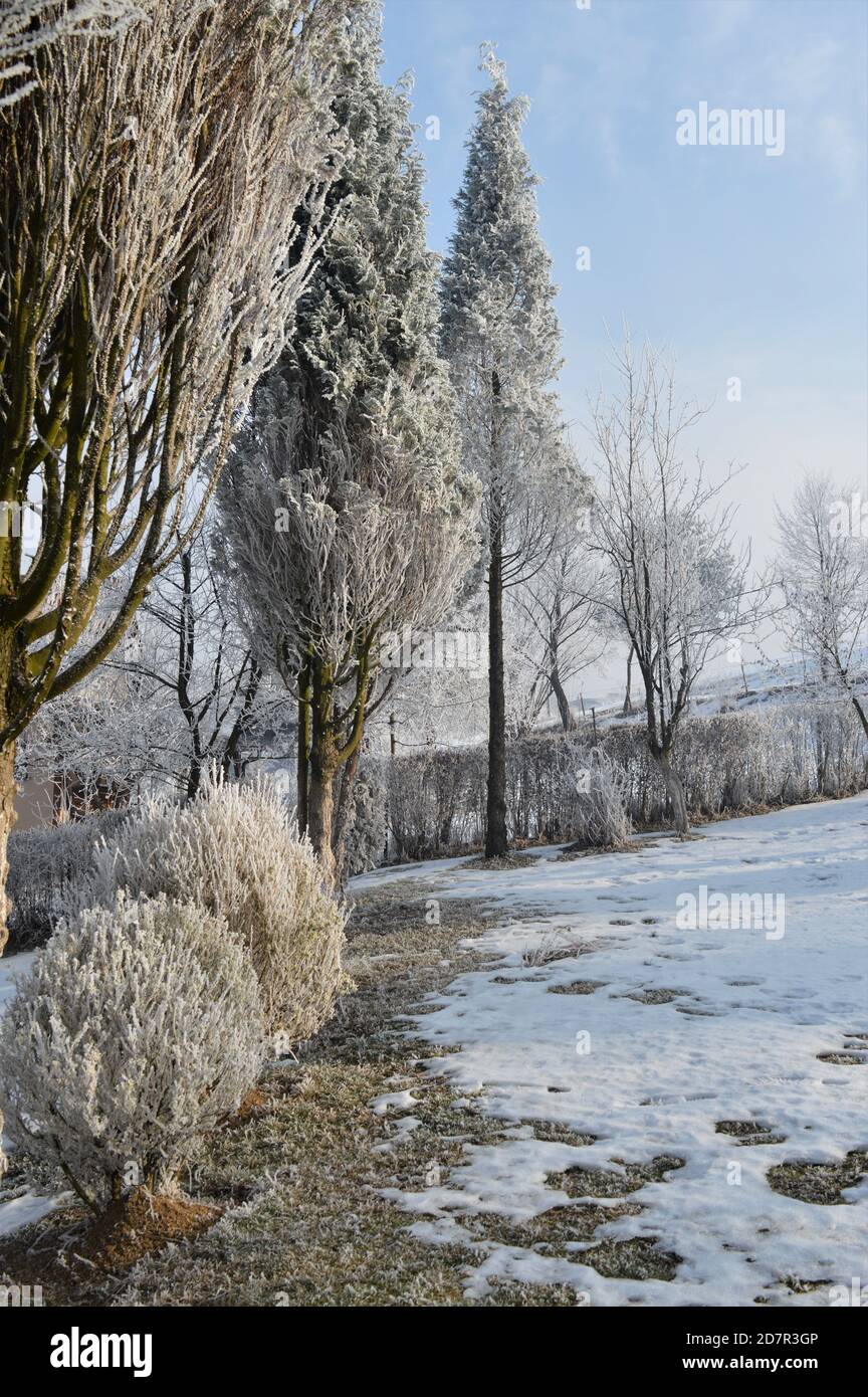 Cold winter morning walk hi-res stock photography and images - Alamy