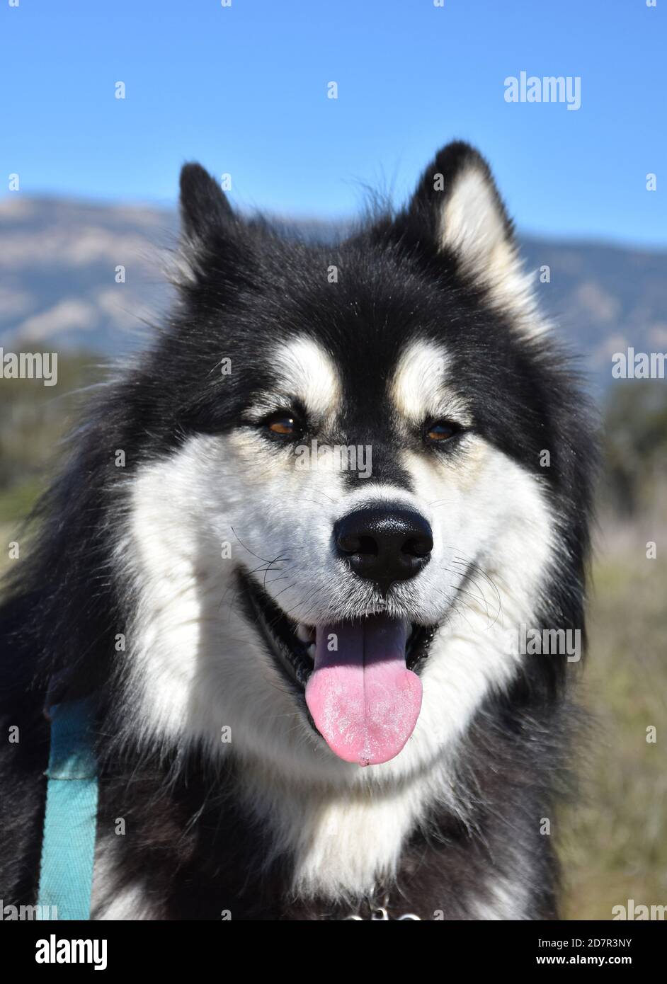 Alusky hi-res stock photography and images - Alamy