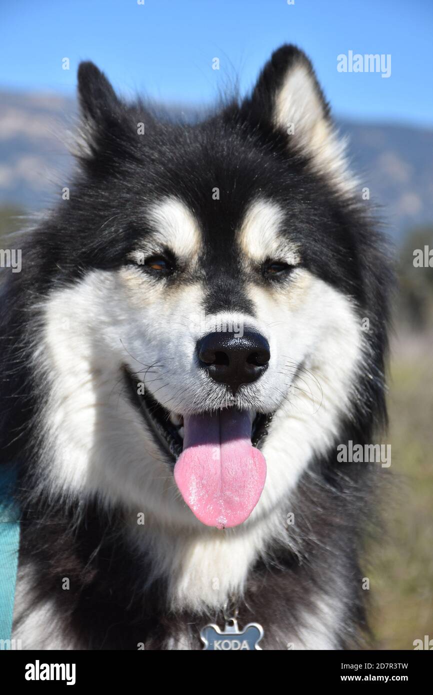 Alusky hi-res stock photography and images - Alamy