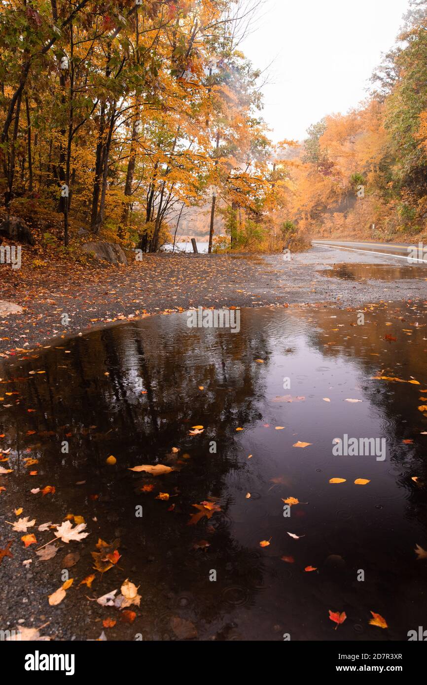Rain puddle scenery hi-res stock photography and images - Alamy