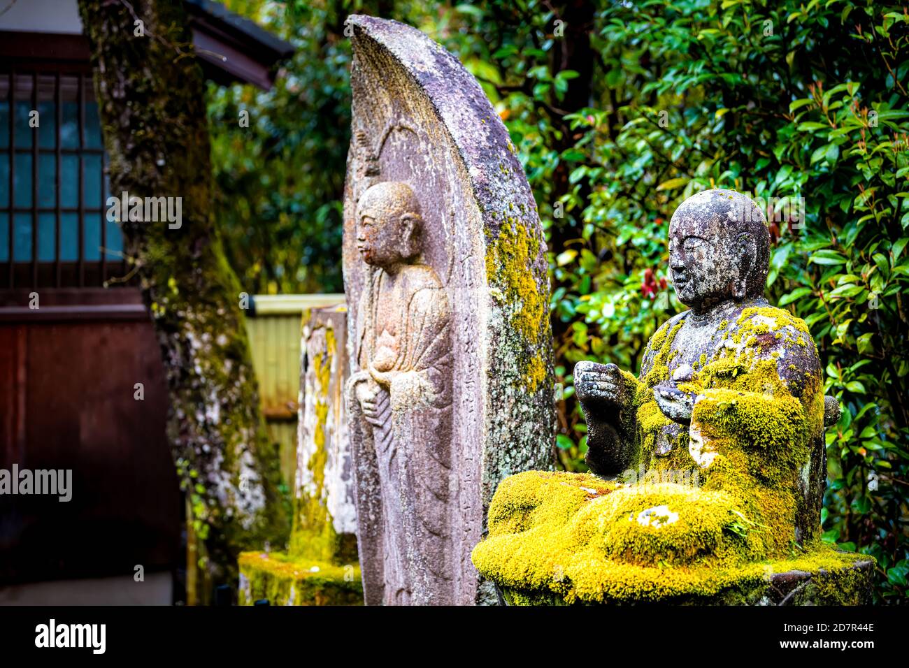 Kyoto, Japan - April 9, 2019: Eikando temple shrine and moss garden ...