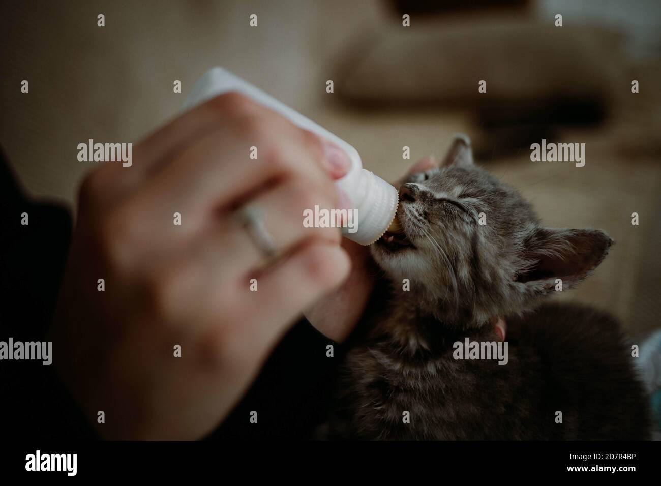 Selective female hand feeding hi-res stock photography and images - Alamy