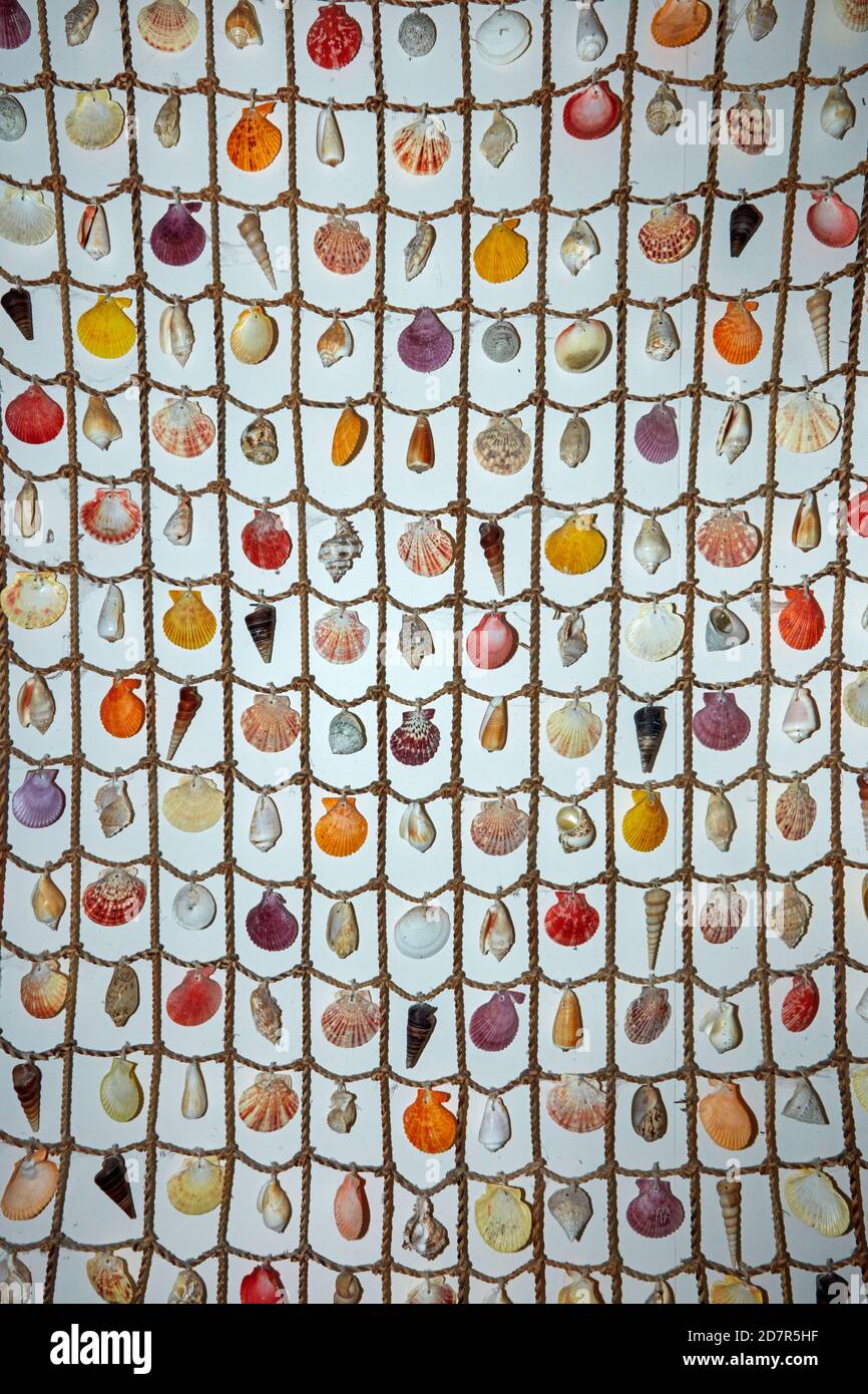 Shell artwork, Rarotonga, Cook Islands, South Pacific Stock Photo - Alamy