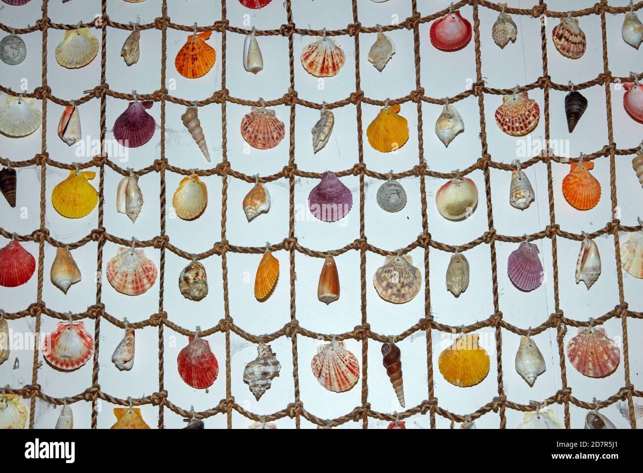Shell artwork, Rarotonga, Cook Islands, South Pacific Stock Photo - Alamy