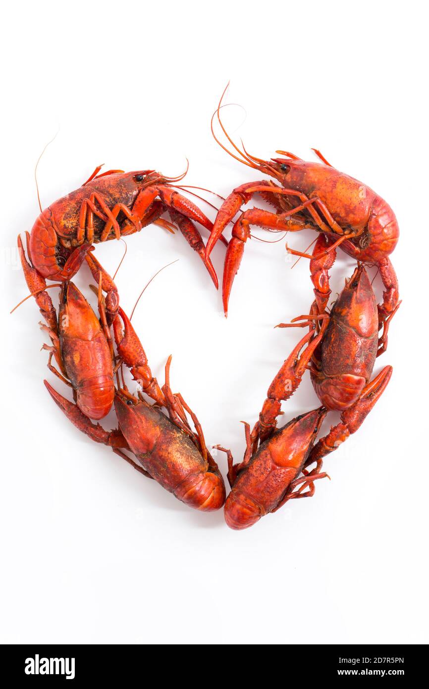 Isolated Boiled Crawfish Stock Photo - Alamy